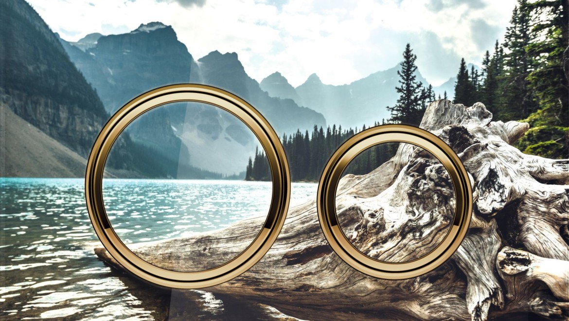 WC actuator plates & flush plates | Geberit Southern Africa